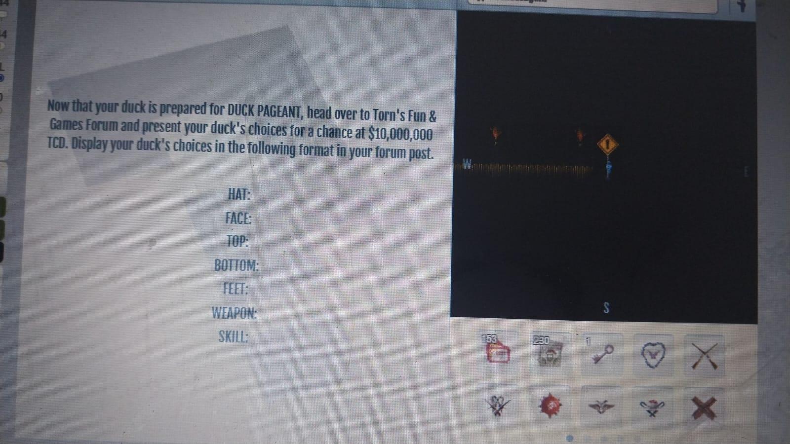 Forums | TORN